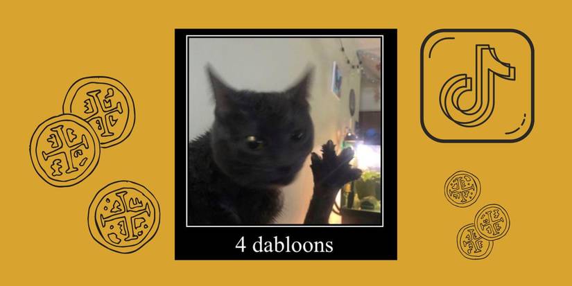 What Is The Doubloon Cat Meme? The TikTok Trend Explained
