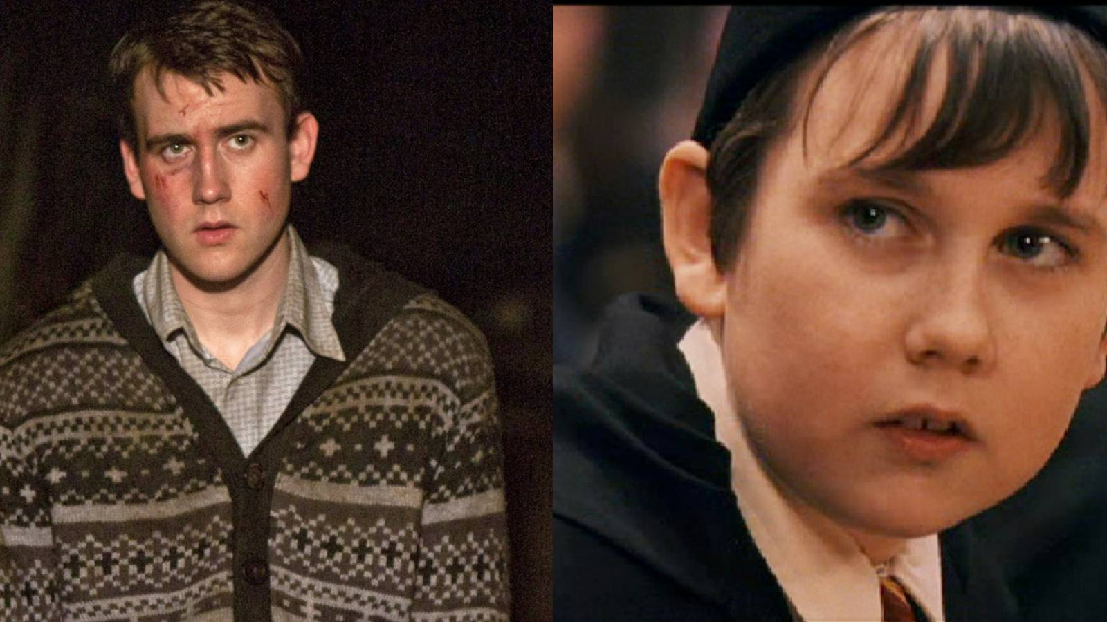 Harry Potter: 10 Quotes That Perfectly Sum Up Neville As A Character
