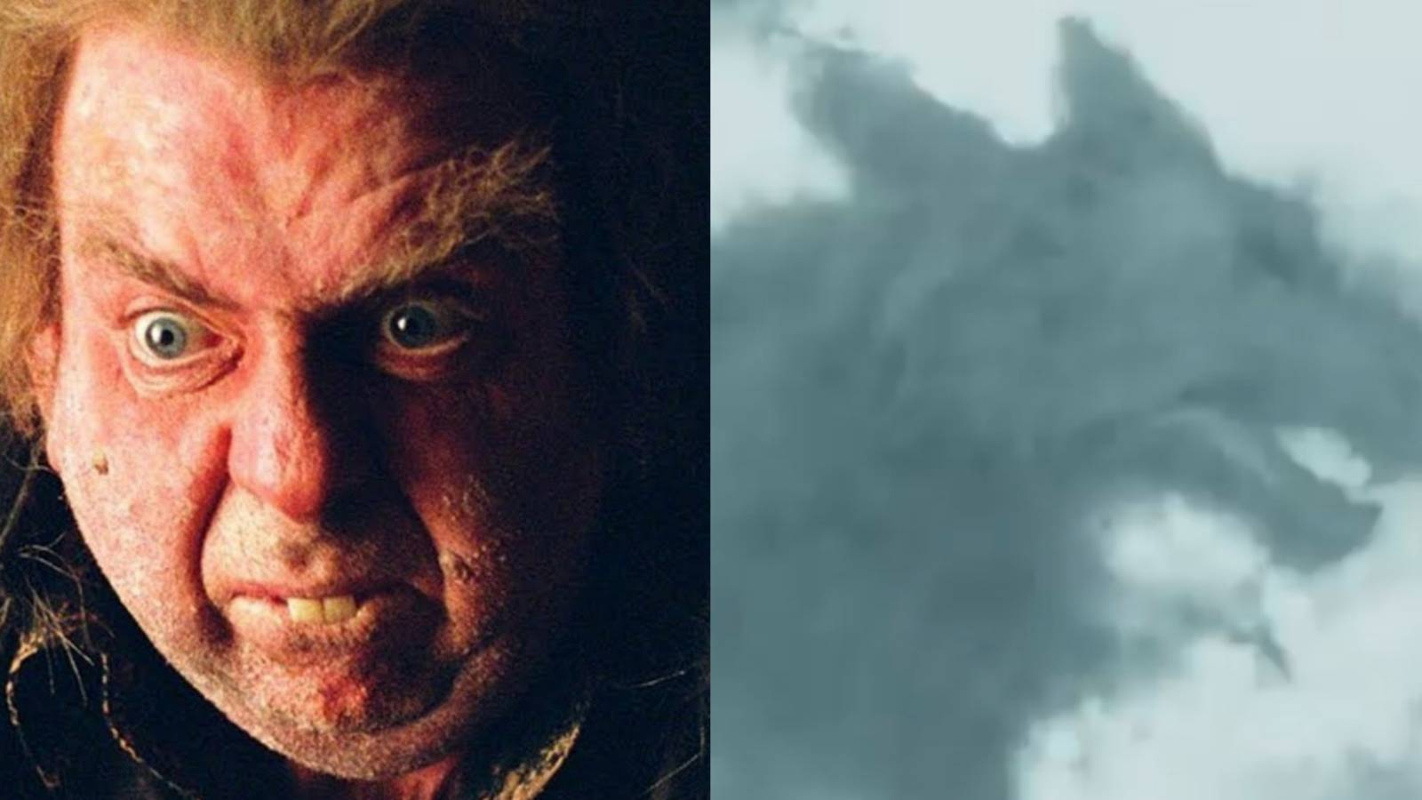 Harry Potter: 10 Plot Holes About Animagi That Make No Sense