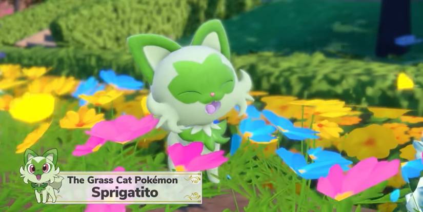Pokémon Scarlet & Violet Starters: Is Sprigatito, Fuecoco, Or Quaxly Best