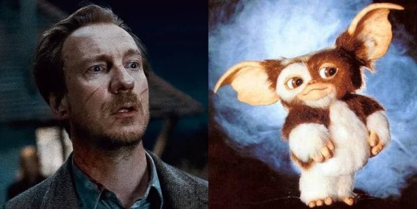 Harry Potter: 10 Characters & Their Popular Holiday Character Counterparts