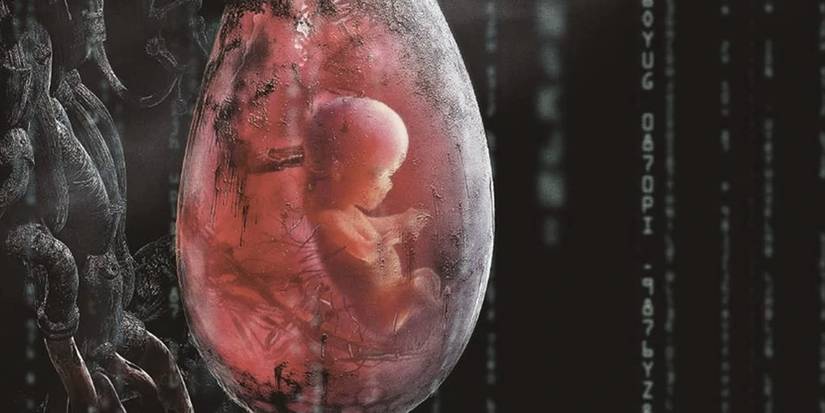 The Matrix 5 Can Finally Deliver On The Franchise's Ultimate Untold ...