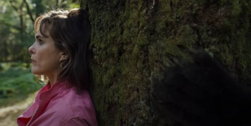Cocaine Bear Movie’s Director Inspirations Couldn’t Be More Exciting