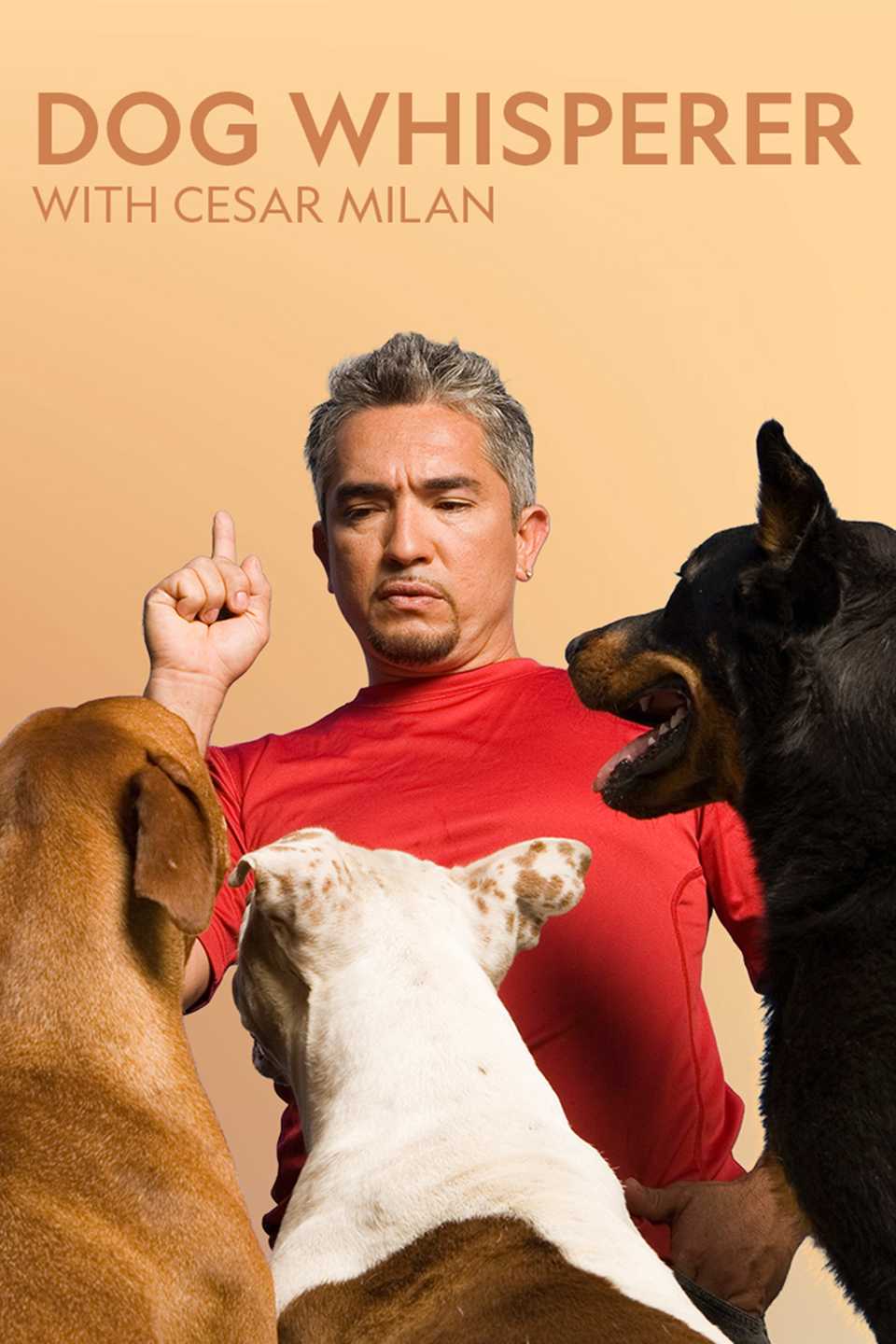 What Happened To Cesar Millan After His Show Dog Whisperer Ended?