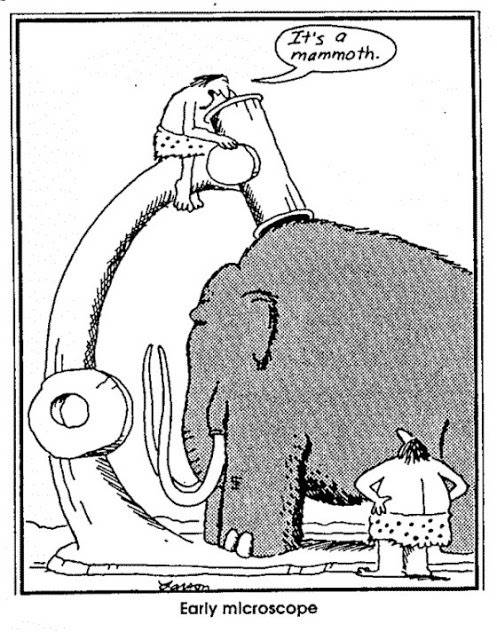 Gary Larson's 10 Funniest Far Side Comics About Cavemen