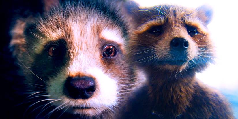 Baby Rocket & Guardians Of The Galaxy's New Ships Revealed In GOTG 3 Merch