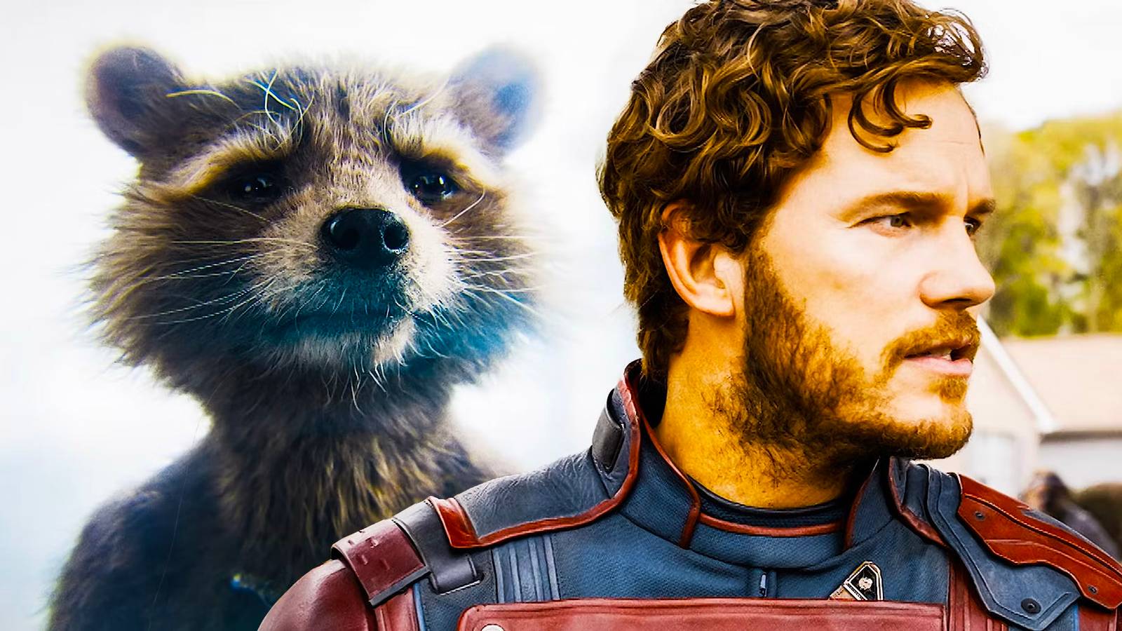 All The Clues Rocket Dies In Guardians Of The Galaxy 3