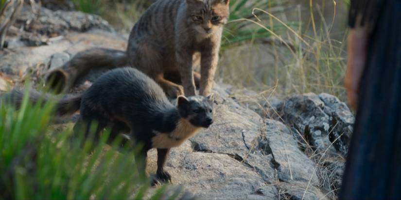 His Dark Materials Season 3 Finale Ending Explained (In Detail)