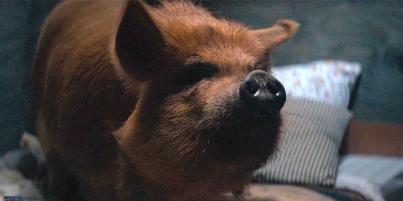 Pig Ending Explained