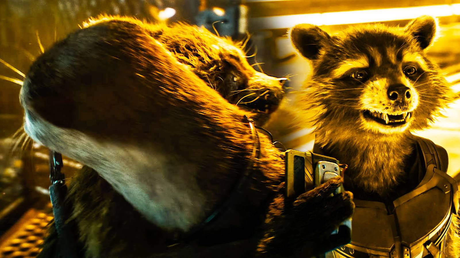 GOTG 3's Otter Hints At Rocket's Happy Ending