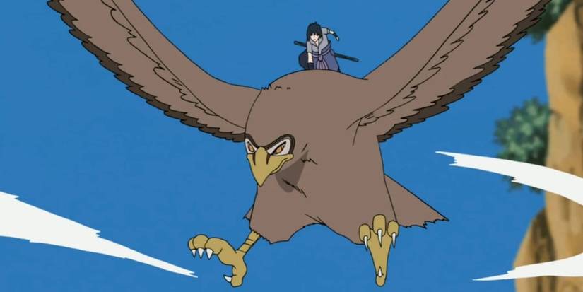 Naruto: 10 Best Animal Companions, Ranked