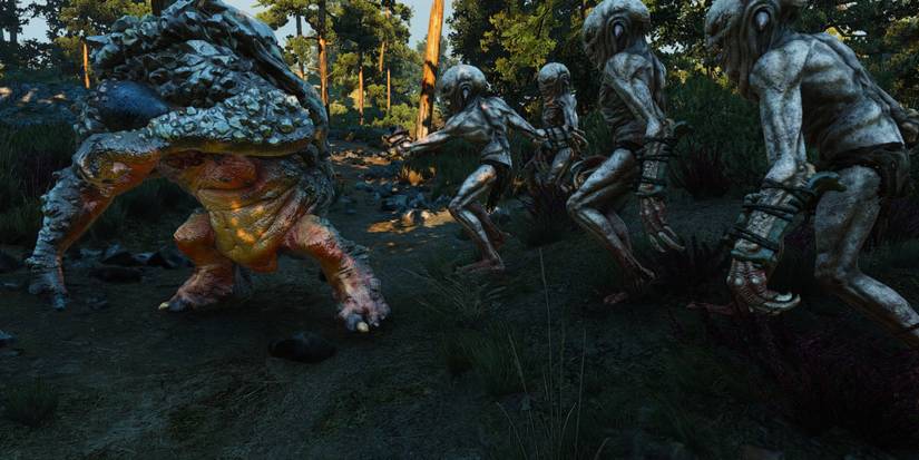 The Witcher 3: 10 Things To Do In The Game Most Players Never Discover
