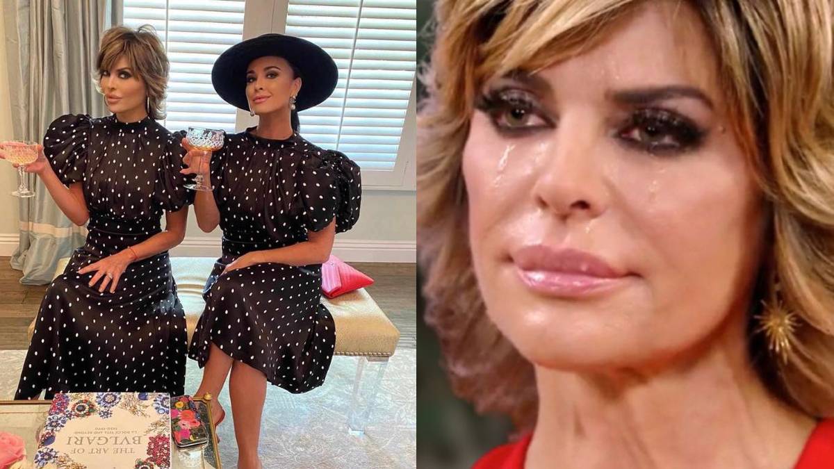 The Real Housewives Of Beverly Hills: 10 Most Iconic Lisa Rinna Scenes