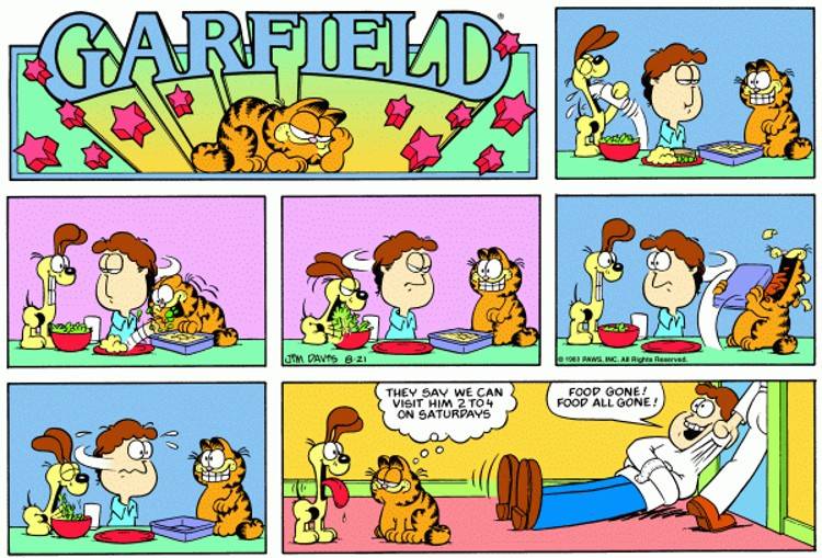 10 Funniest Garfield Comics Of All Time