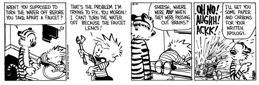 Calvin And Hobbes: Hobbes' 10 Best Pieces Of Advice