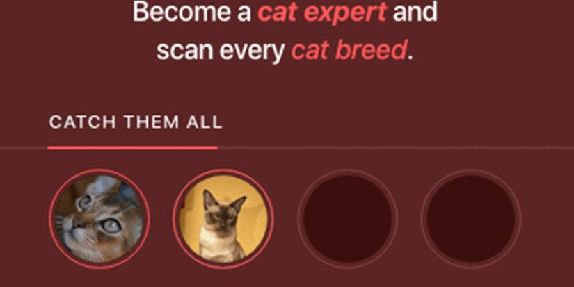 10 Apps Designed To Help Cat Owners