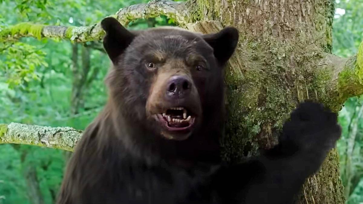 Cocaine Bear Video Reveals Drugged Up Animal's Super Powered Abilities
