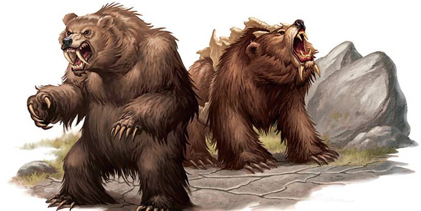 D&D: Best Barbarian Druid Multiclass Builds To Try ASAP