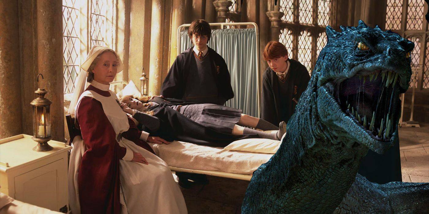 Harry Potter: Every Hogwarts Student Who Had Been Petrified In Chamber ...