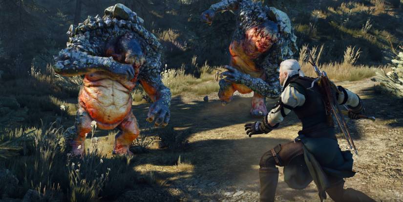 The Witcher 3: Wild Hunt — 10 Best Talent Tree Abilities To Unlock