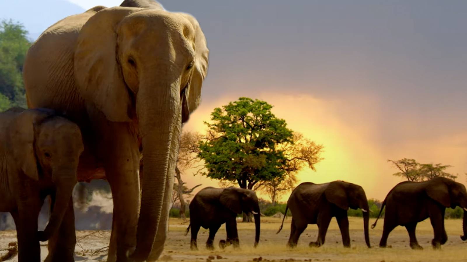 National Geographic Releases Natalie Portman-Narrated Secrets of The ...