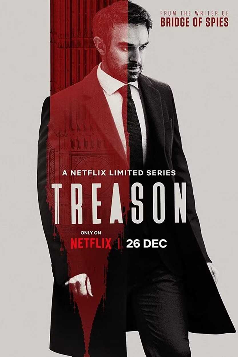 25 Shows To Watch If You Like Netflix's Bodyguard