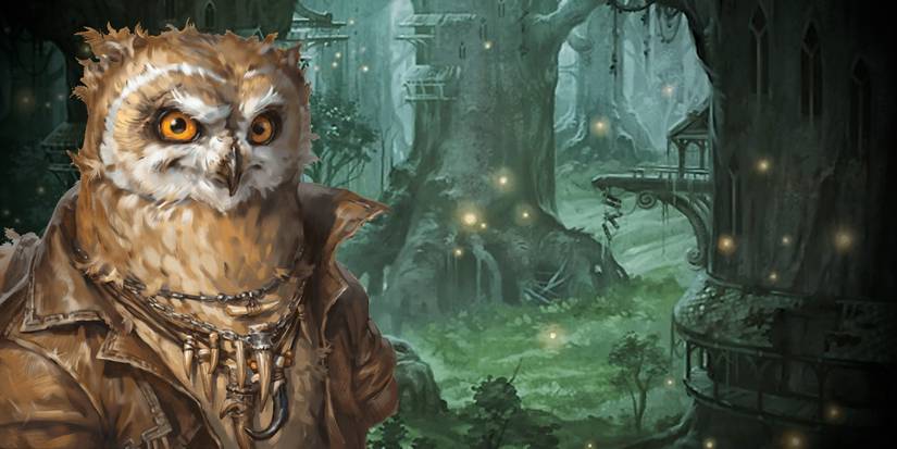 D&D: Best Class Builds For Owlin Characters