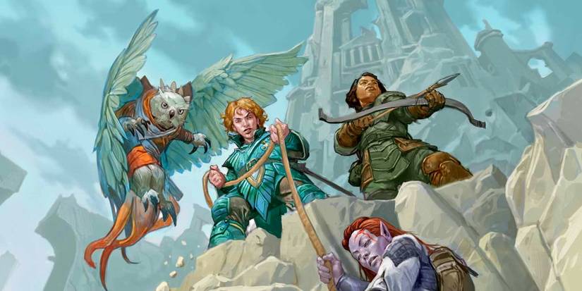 D&D: Best Class Builds For Owlin Characters