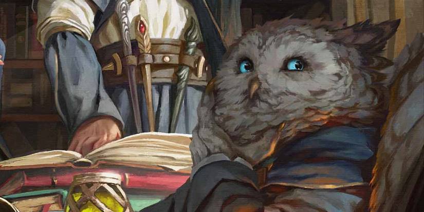 D&D: Best Class Builds For Owlin Characters
