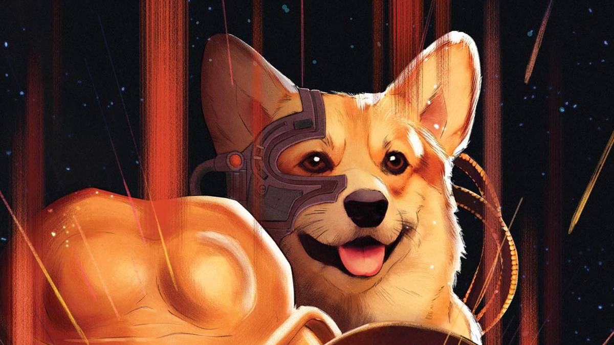 Stare Dog