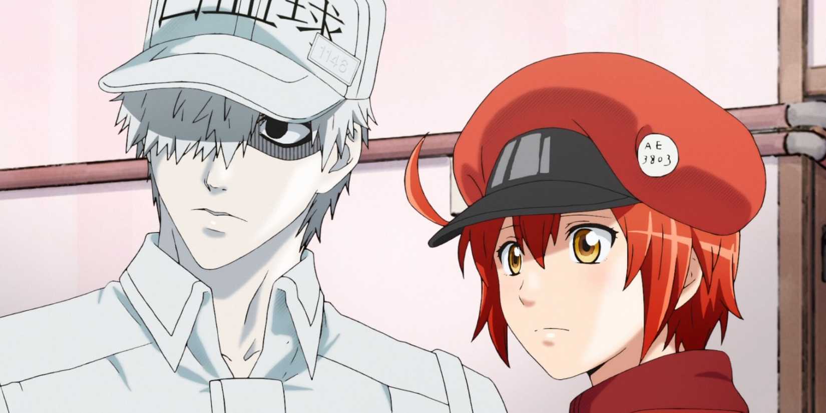 8 Anime That Completely Fell Off