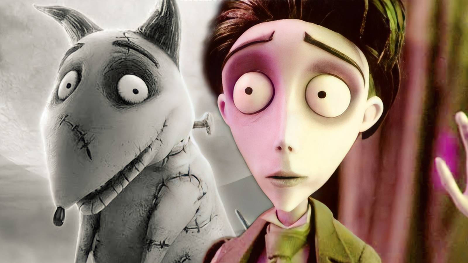 Why So Many Tim Burton Movies Have Dead Dogs