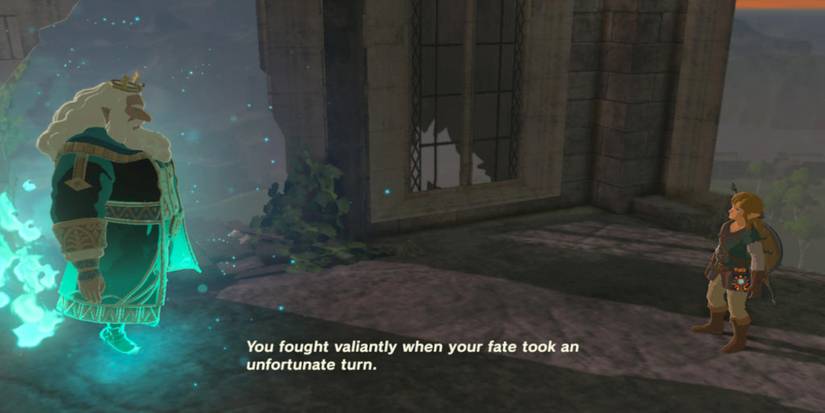 Zelda: Breath Of The Wild - The 10 Best NPCs, Ranked