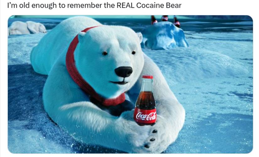 11 Best Cocaine Bear Memes