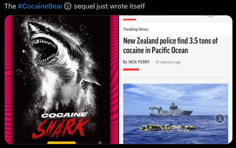 11 Best Cocaine Bear Memes