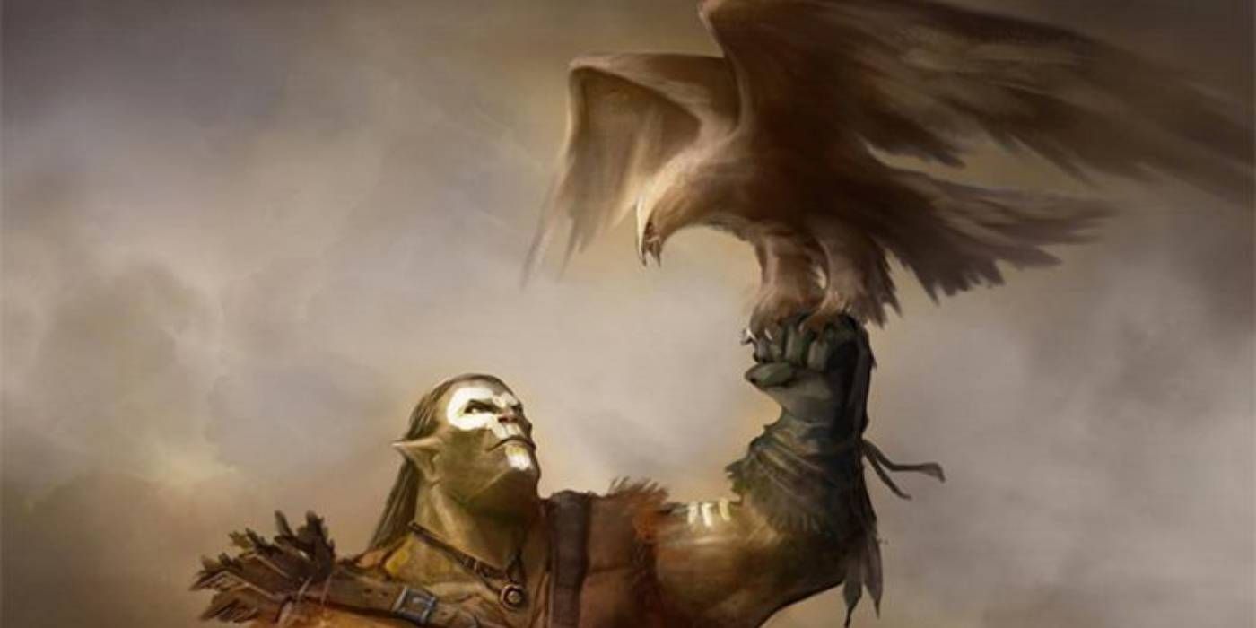 D&D's Controversial Orc Changes Explained