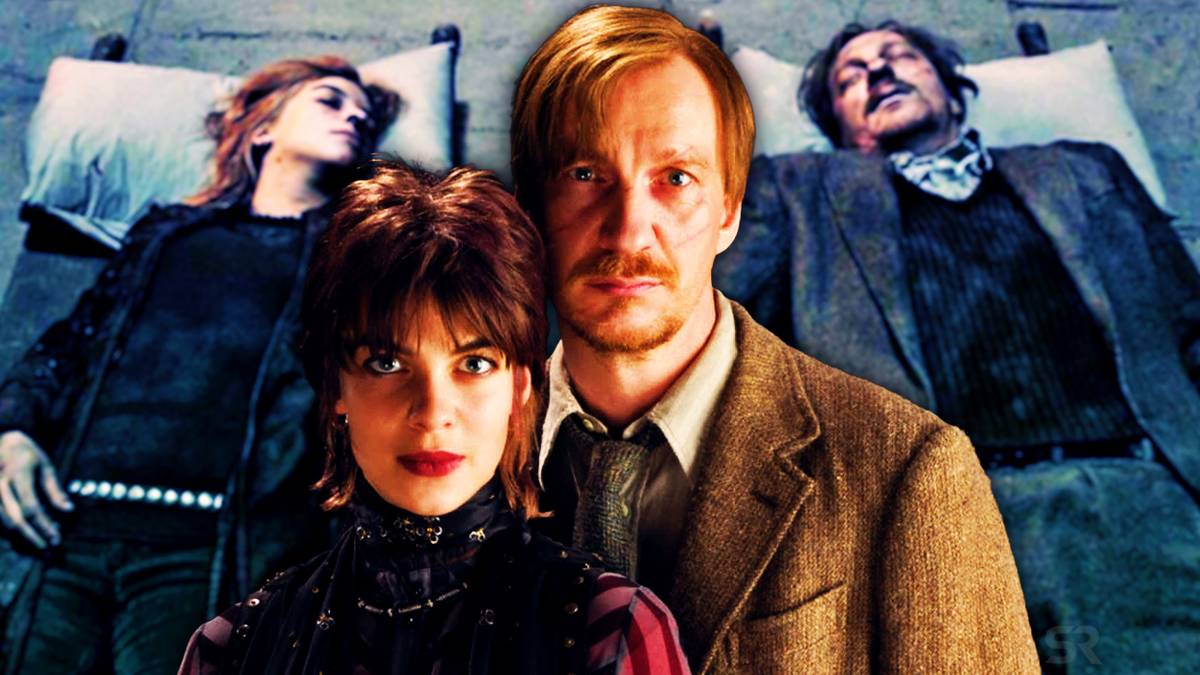 Remus Lupin Half Blood Prince Remus Lupin The Younger Played By James