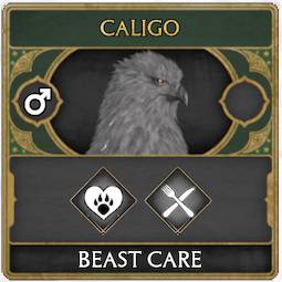 Hogwarts Legacy: Every Flying Mount (& Where to Find Them)