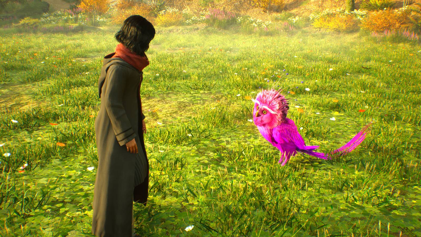 Where To Find Fwoopers In Hogwarts Legacy