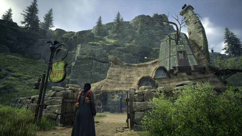 Hogwarts Legacy Where To Get Focus Potion