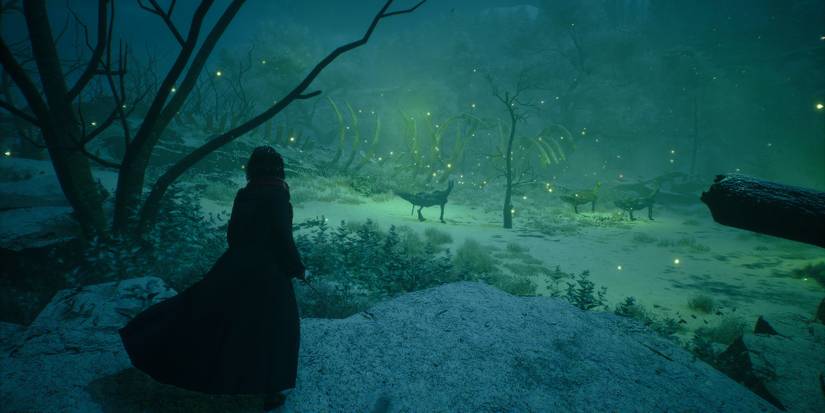 Can You Change Seasons In Hogwarts Legacy?