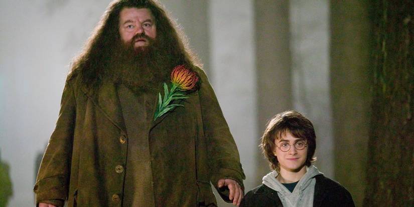 The Best Father Figure In Harry Potter's Life Was Never Dumbledore Or ...