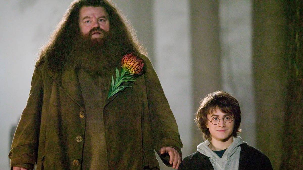 The Harry Potter Remake's Hagrid Casting Plan Gives Me Faith It Will ...