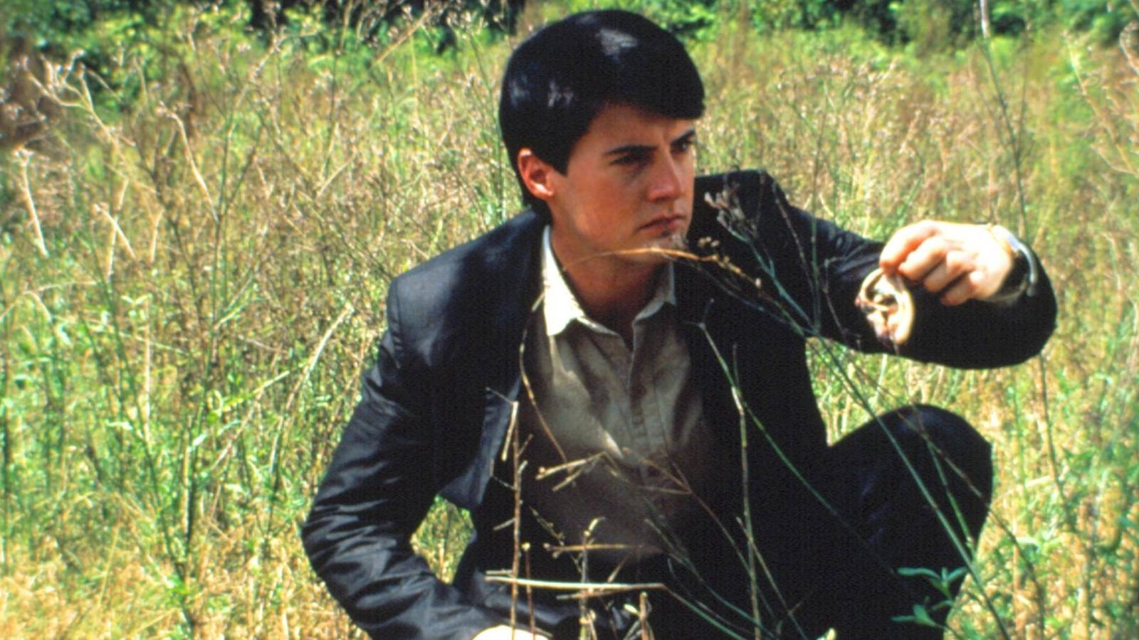 Blue Velvet: Whose Severed Ear Did Jeffrey Find?