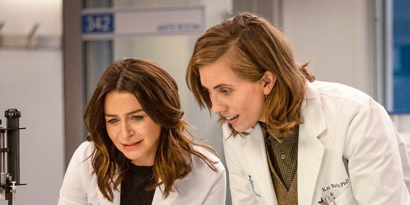 Grey’s Anatomy Season 20’s New Doctor Teases A Hot New Romance