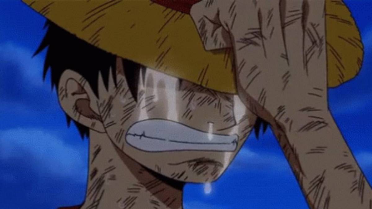 One Piece's 10 Most Emotional Flashbacks