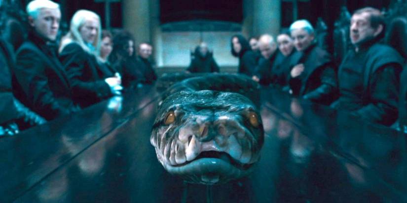 Harry Potter: Why Voldemort Didn’t Use Avada Kedavra On Snape