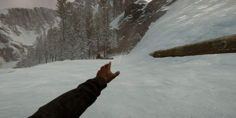Sons Of The Forest Basic Controls Tips
