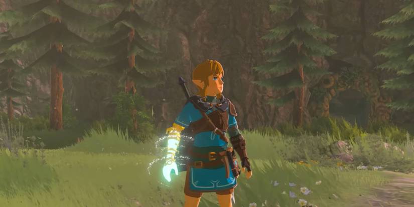 Zelda TOTK Theory: Link's Glowing Arm Is The New Sheikah Slate