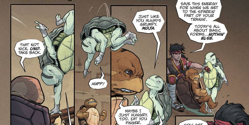 TMNT Explains the Secret Meaning of New Turtles' Names